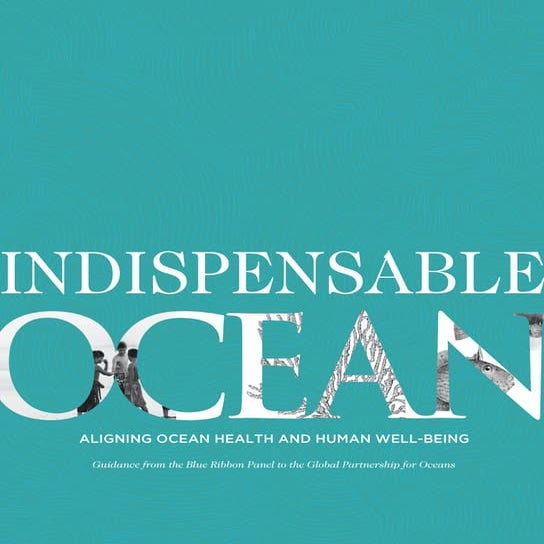 Indispensable Ocean | PDF