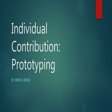 Individual contribution proto typing | PPTX