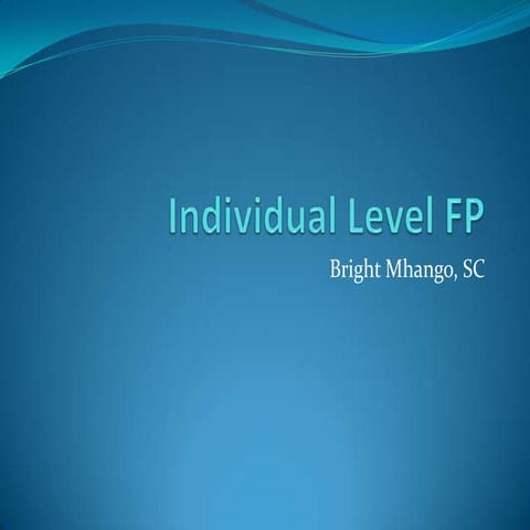 Intro to Individual Level Foreign Policy | PPT