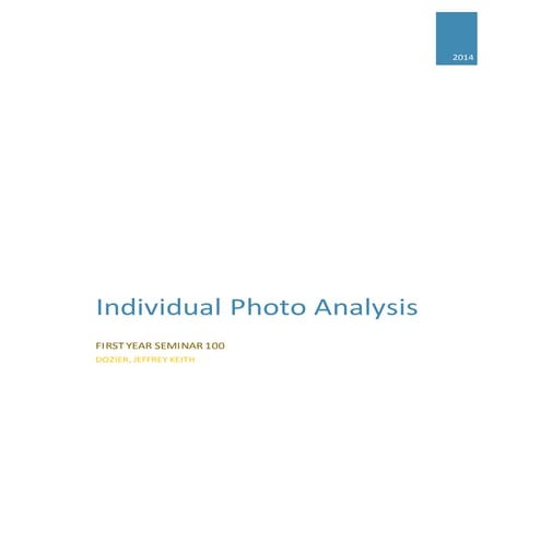 Individual photo analysis | DOCX