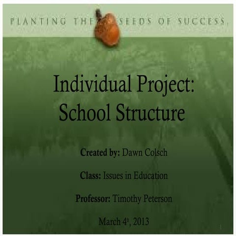 Individual project | PPT