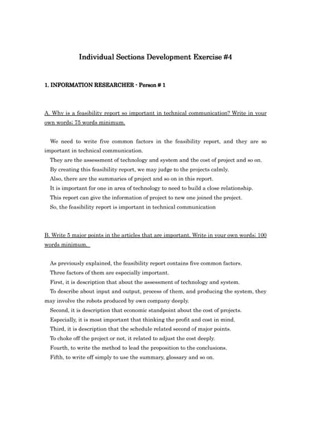 Interim report template | DOC