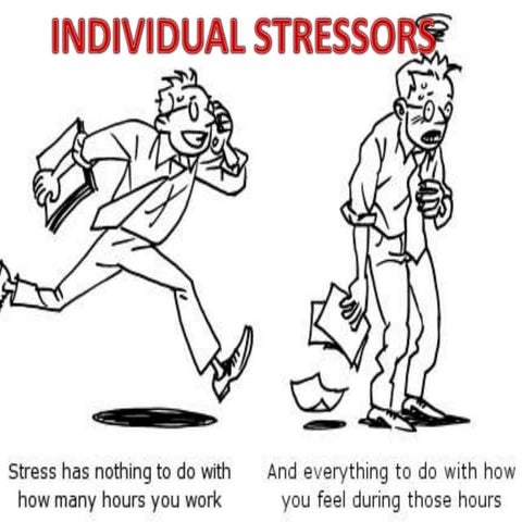 Individual Stressors | PPTX