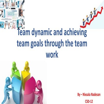 Individual Team Dynamics | PPT
