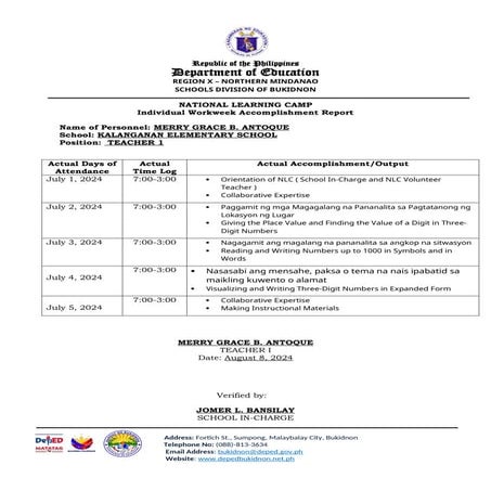 Individual Workweek Accomplishment Report - antoque.docx