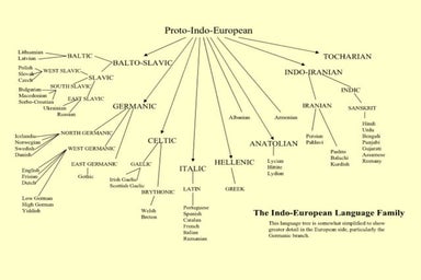 English Language Tree