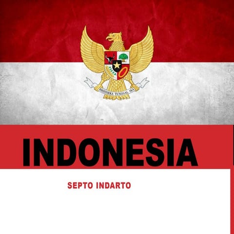 Indonesia infographic | PDF