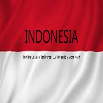 INDONESIA-Presentación.pptx