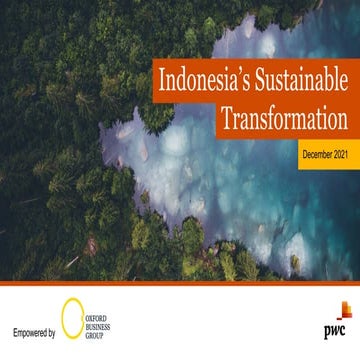 indonesia-sustainable-transformation.pdf