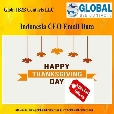 Indonesia ceo email data | PPTX | Email | Internet