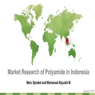 Market Research of Polyamide in Indonesia | PDF