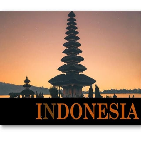 Indonesia market presentation | PDF