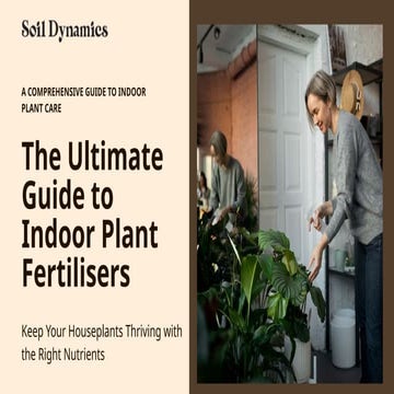 The Ultimate Guide to Indoor Plant Fertilisers: Keep Your Houseplants ...