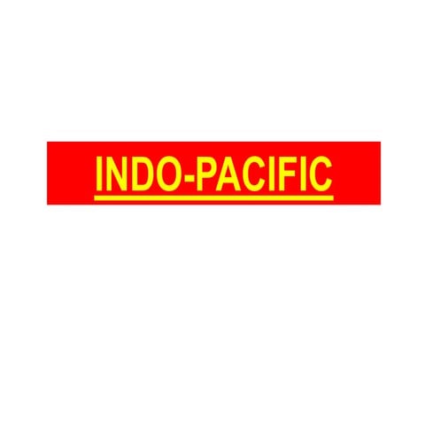 Indo Pacific presentation for studies.pptx