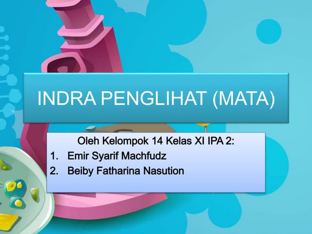 Indra penglihatan (mata) | PPTX