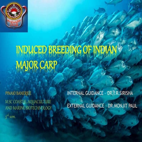 INDUCED BREEDING OF INDIAN MAJOR CARP | PPTX