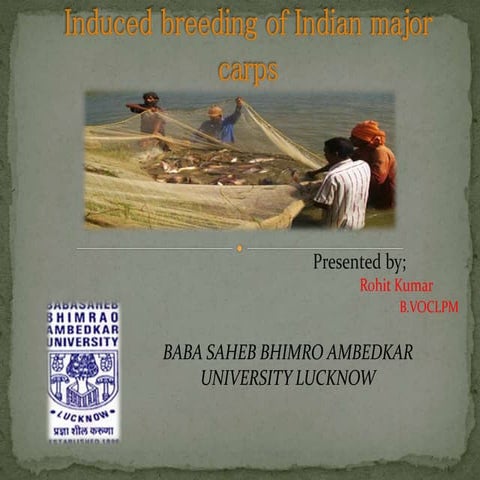 Induced breeding of indian major carps | PPTX