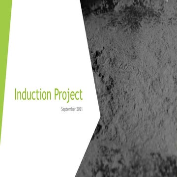Induction Project Megan | PPT