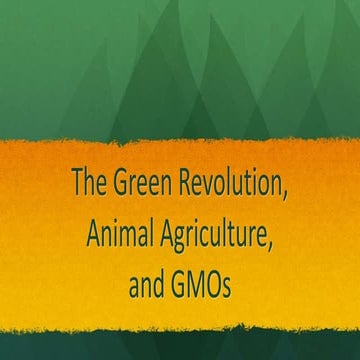 The Green Revolution, Animal Agriculture, and GMOs | PPTX