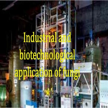 Industrial and biotechnological application of fungi by sohail riaz | PPTX