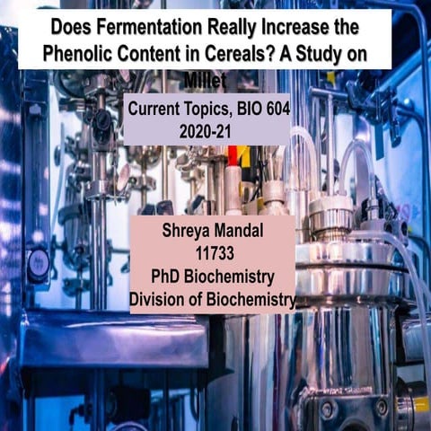 Industrial fermentation-Does Fermentation Really Increase the Phenolic Content in Cereal? A ...