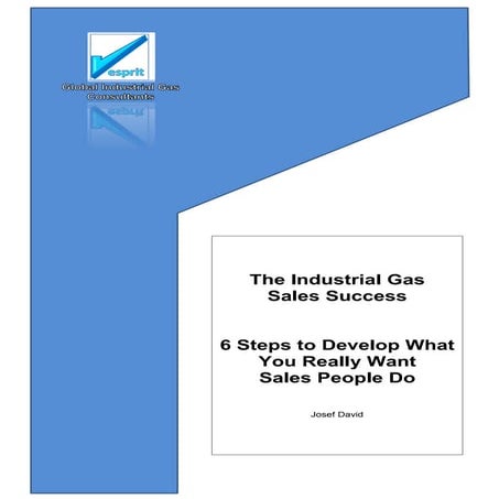 6 Steps to Set Company's Sales Target (Step by Step Tutorial) | PDF