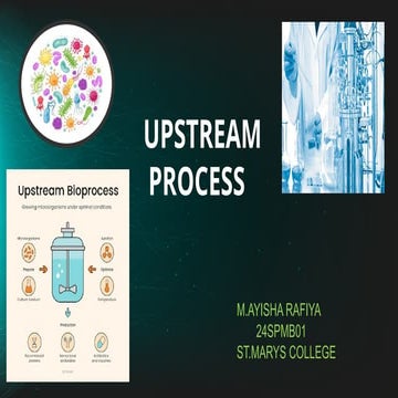 Bioprocessing Overview_ Upstream and Downstream Processes.pptx