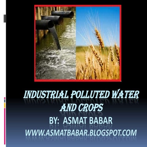 Industrial Polluted Water and Crops | PPTX