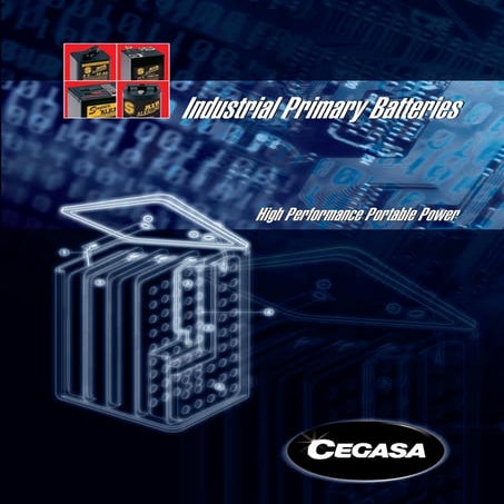 Industrial primary batteries | PDF