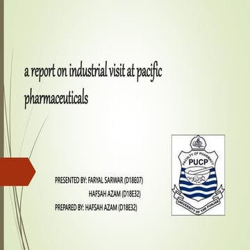 industrial report.pptx