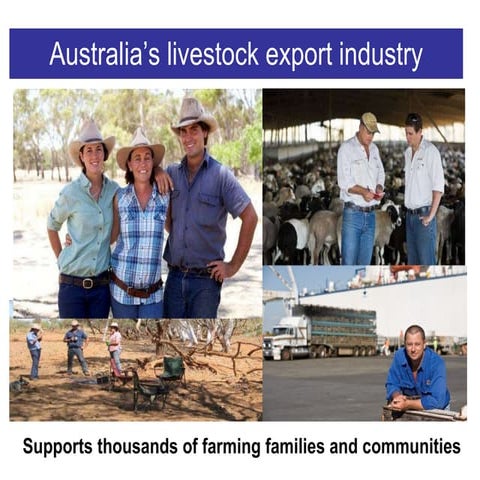 Industry Slideshow: Live Export | PPT