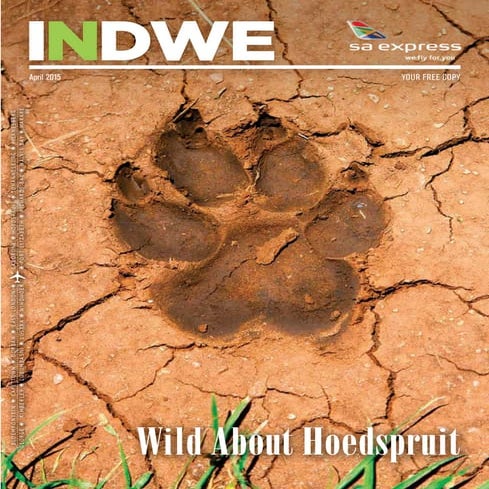 Indwe Magazine April 2015 | PDF