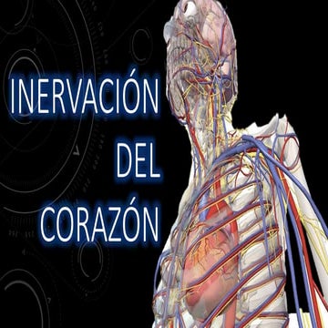 Inervación del corazón | PPTX