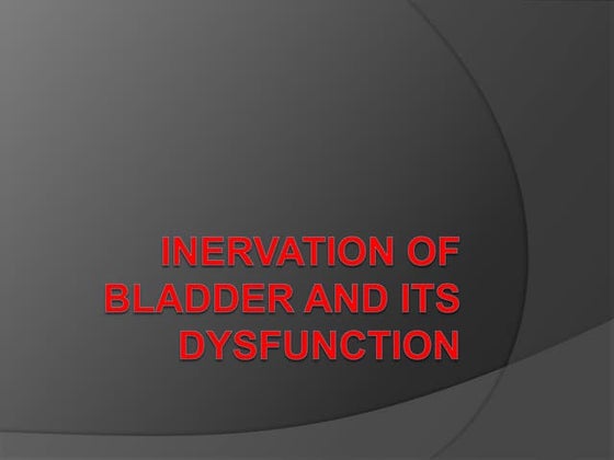 Bladder innervation | PPT