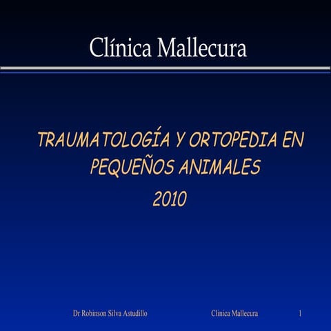 Inestabilidad Lumbosacral | PPT