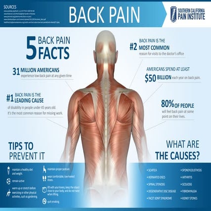 Back Pain / Only Infographics | PPT