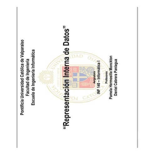 [Inf 140] Representacion Interna De Datos (1 X Hoja) | PDF