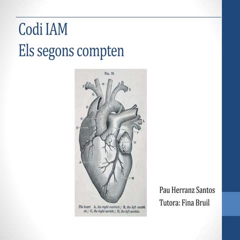 Codi IAM. Els segons compten | PPTX