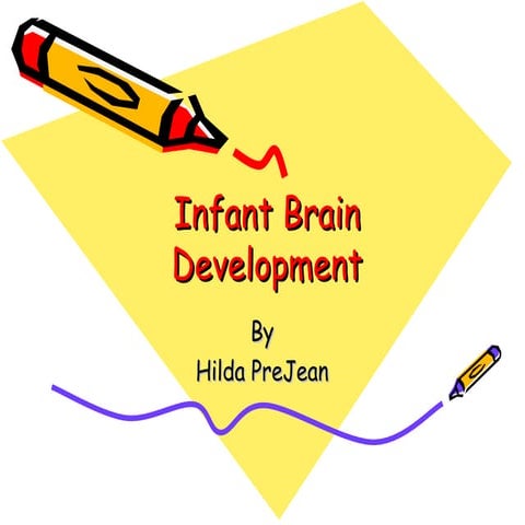 Infant Brain Development | PPT