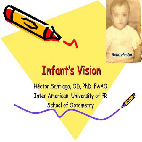 Infant's vision | PPT