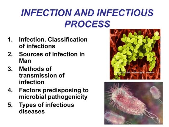 types of Infection.ppt