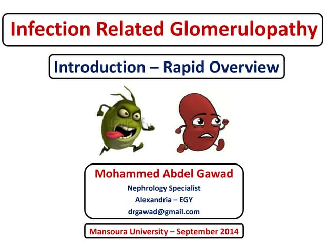 Infection Related Glomerulopathy Introduction Rapid Overview Dr