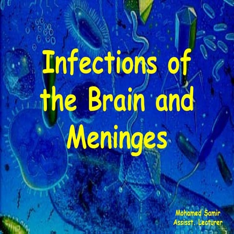 Brain Infections 1 | PPT