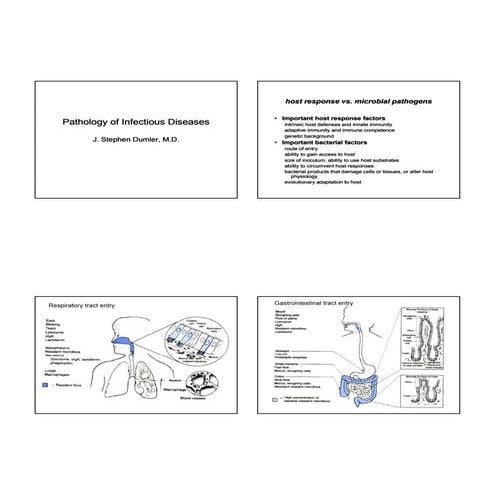Infectious Disease Worksheet