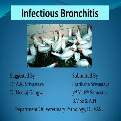 Infectious bronchitis in poultry | PPTX