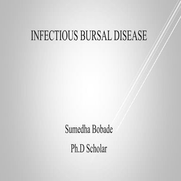 Infectious bursal disease | PPT