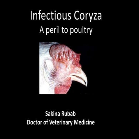 Infectious Coryza | PPTX