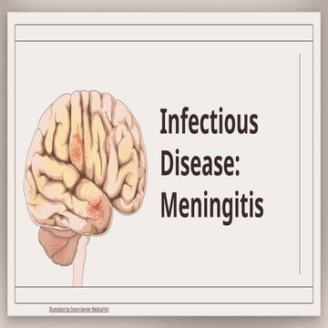 Infectious Disease Meningitis, Why is my baby so sleepy? And what is ...