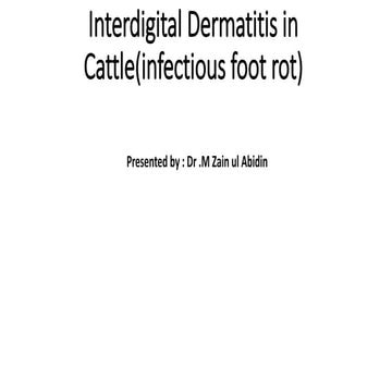 infectious foot rot.pptx