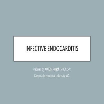 Image Infective Endocarditis Janeway Lesions Merck Infective